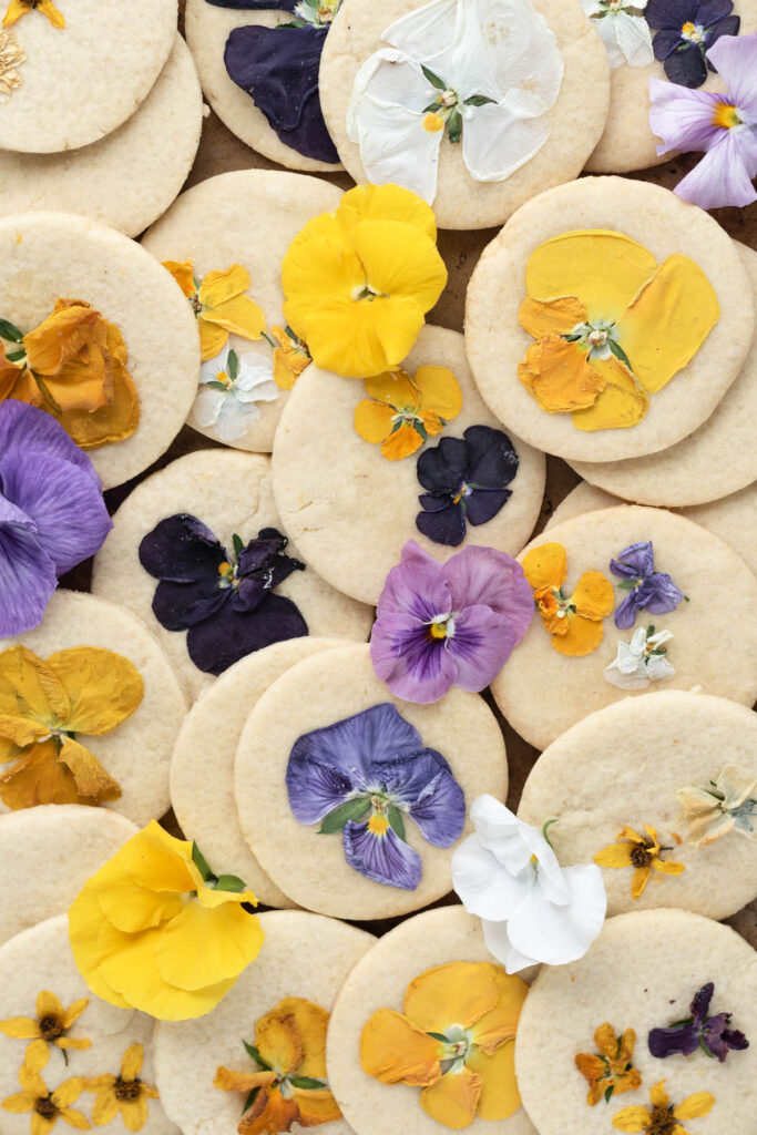 How to Make Pressed Flower Cookies {VIDEO} - Sam Schwab